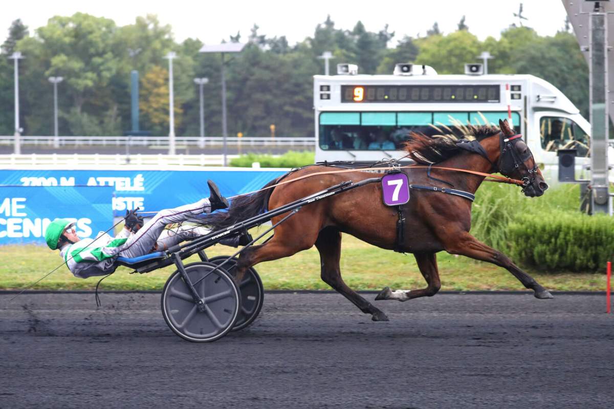 Résultat et rapports Quinté+ Pmu Prix De Beaune à PARIS-VINCENNES le 20 ...