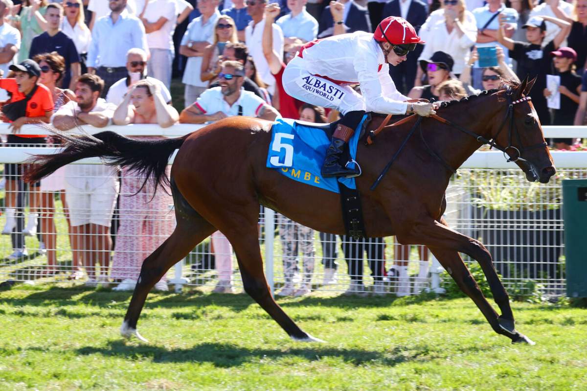 Pronostic gratuit du PRIX DE TRANGE - 17 nov. 2025 par Canalturf