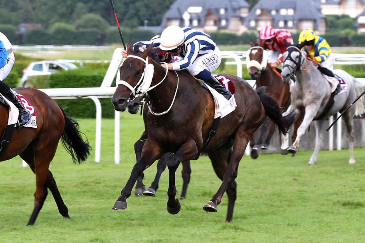 QUICK FLASH - La fiche CANALTURF du cheval, performances pmu, pédigré ...