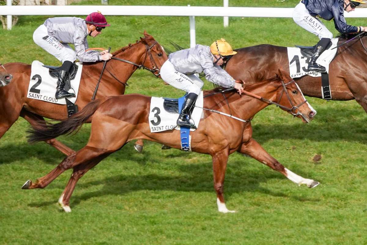 Pronostic Quinté PMU du PRIX DE L'HOTEL CARNAVALET - GRAND PRIX DES ...
