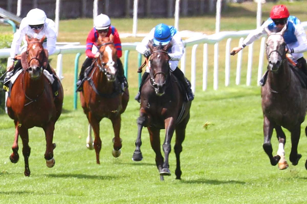 Pronostic gratuit du PRIX DE SARGE-LES-LE-MANS - 6 oct. 2025 par Canalturf