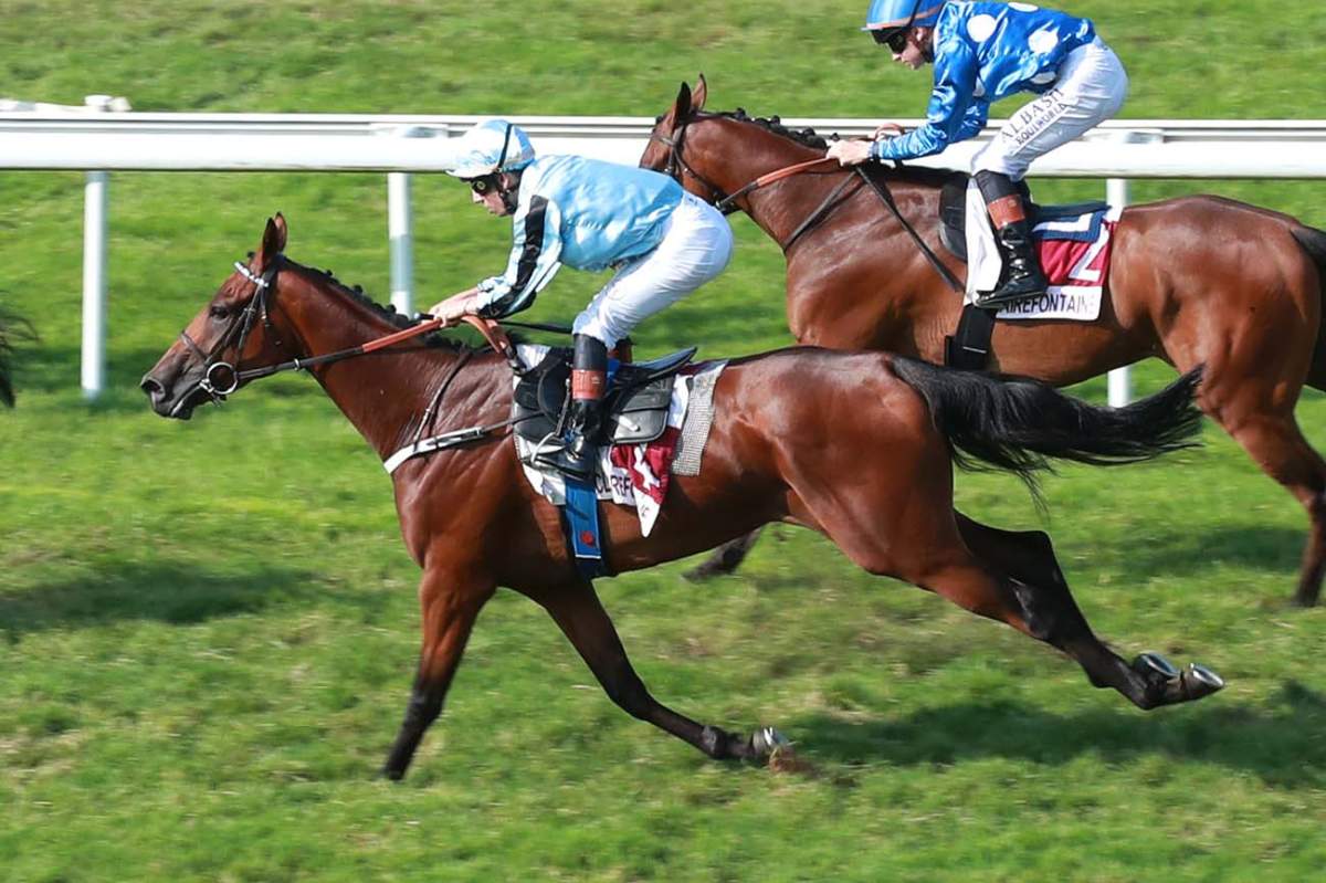 Pronostic Quinté PMU du PRIX DE LONGCHAMP du 11 sept. 2025