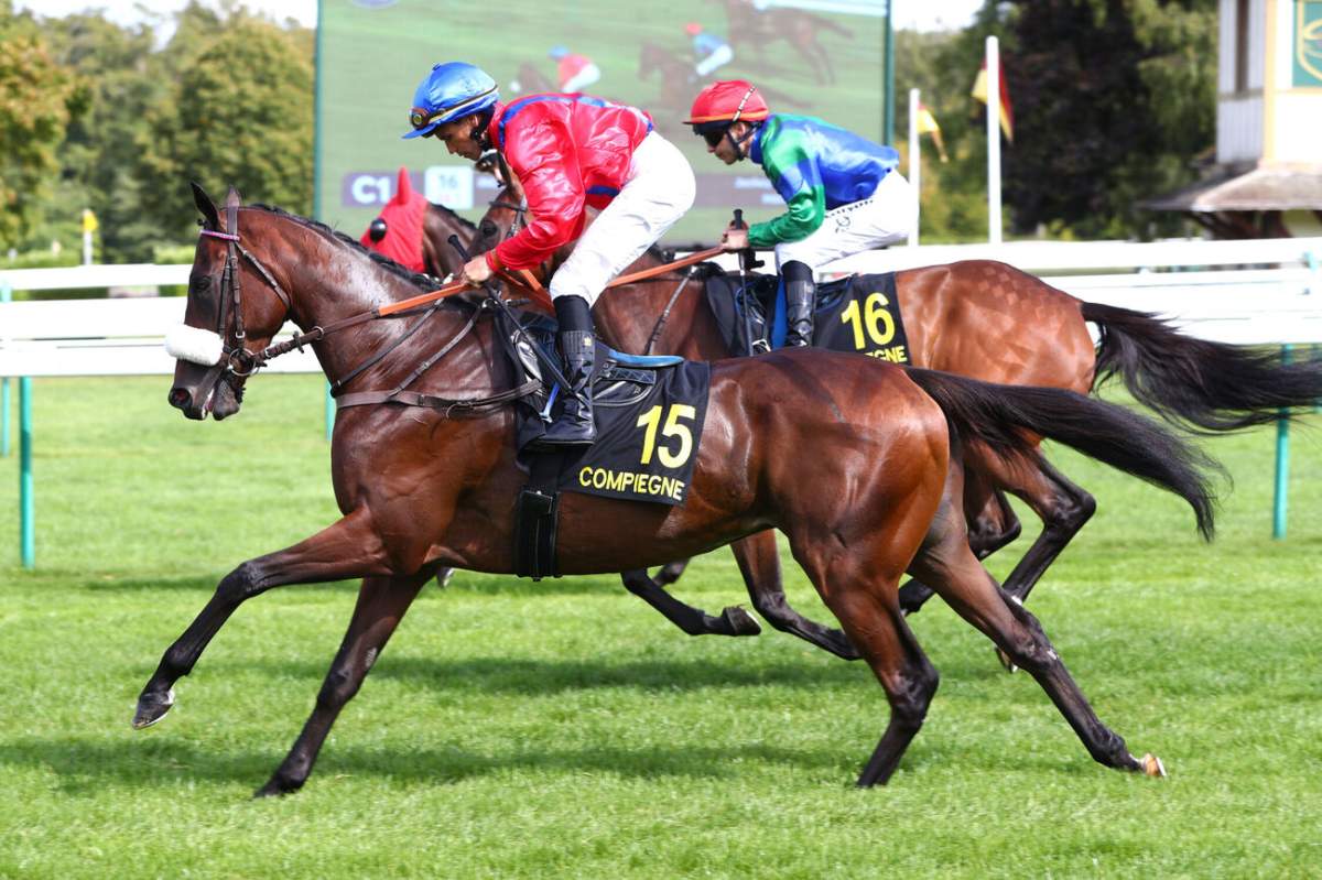 Résultat et rapports Quinté+ Pmu Prix De La Federation Du Nord à ...