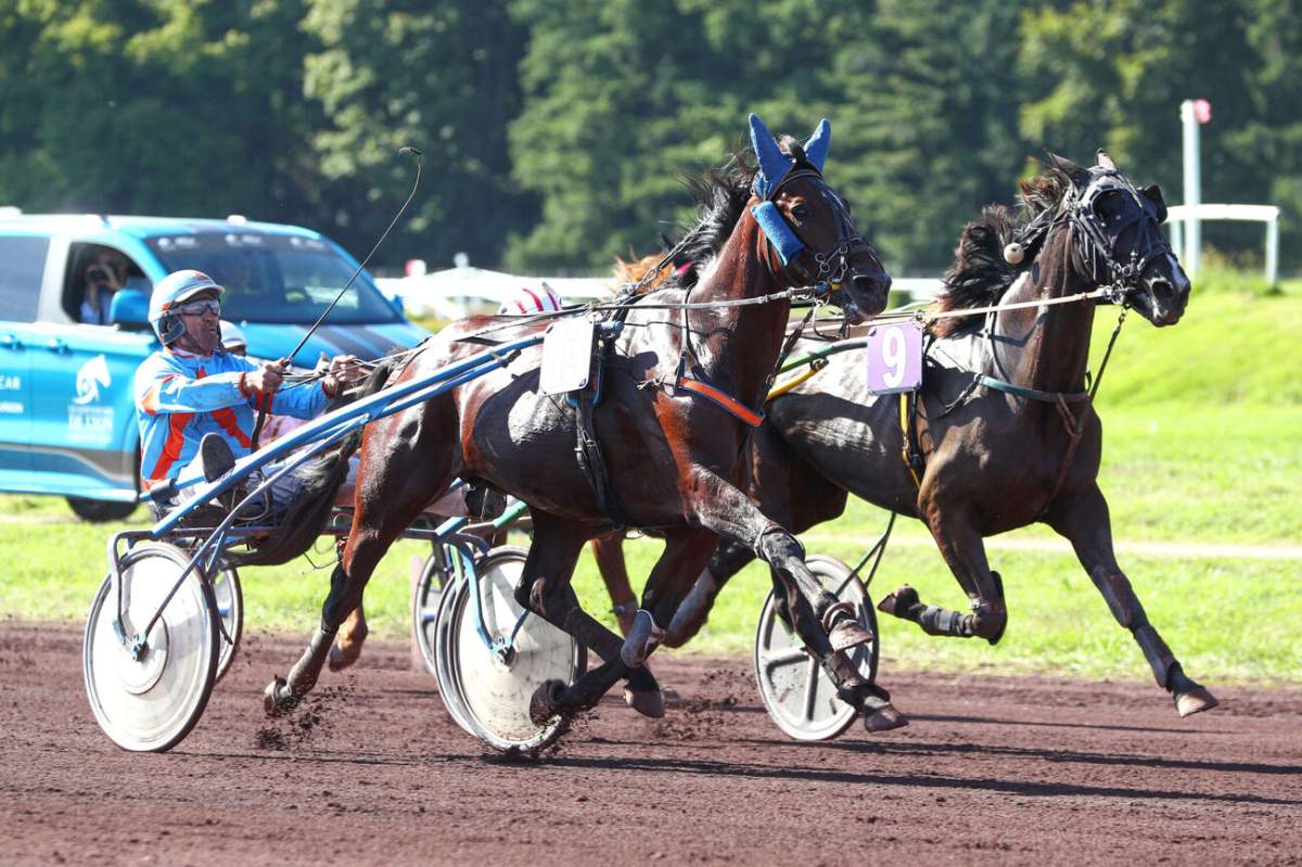 Pronostic gratuit du PRIX DE VICHY - 16 févr. 2026 par Canalturf