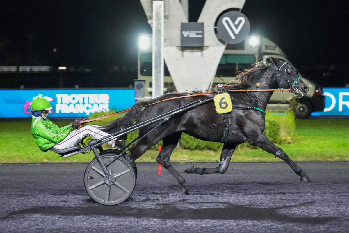 Résultat et rapports Quinté+ Pmu Prix Austria à PARIS-VINCENNES le 26 ...