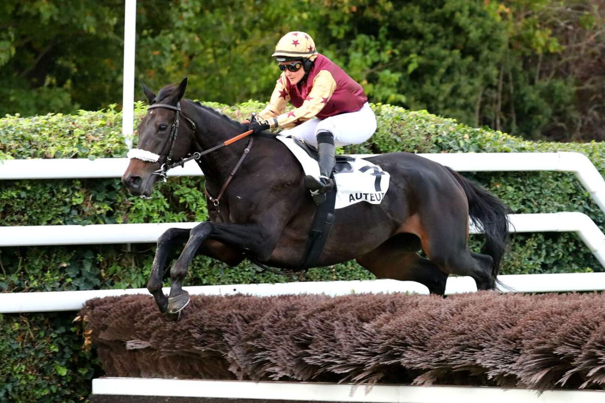 Pronostic Quinté PMU du PRIX COUNT SCHOMBERG - GENY.COM du 15 nov. 2025