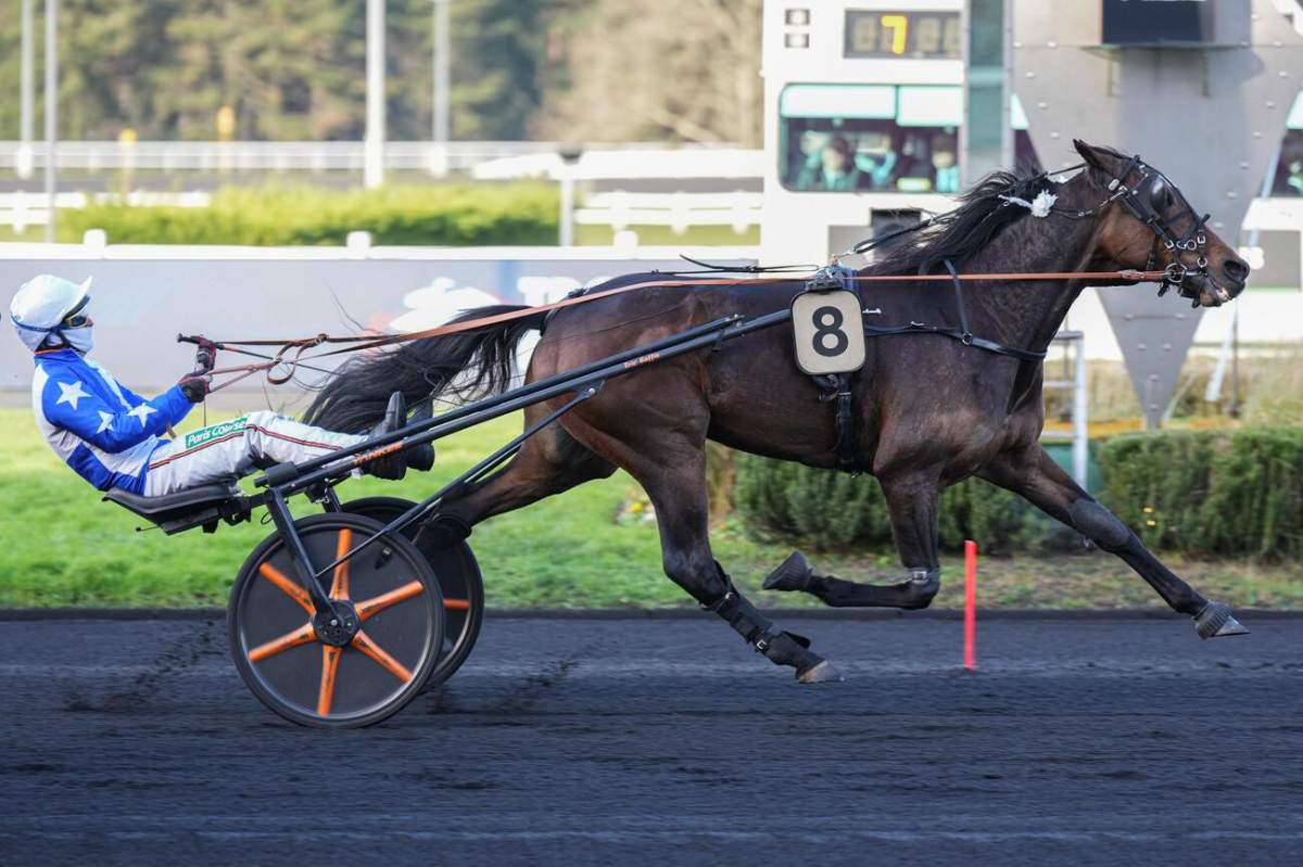 Résultat et rapports Quinté+ Pmu Prix De Brionne à PARIS-VINCENNES le ...