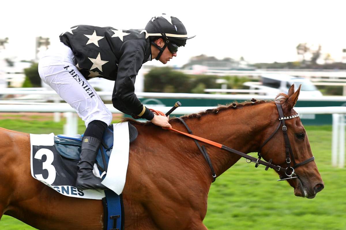 Résultat et rapports Quinté+ Pmu Prix Charles Gastaud à CAGNES-SUR-MER ...