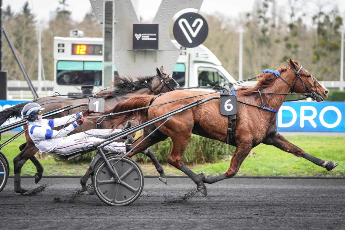Résultat et rapports Quinté+ Pmu Prix Andre Meunier à PARIS-VINCENNES ...
