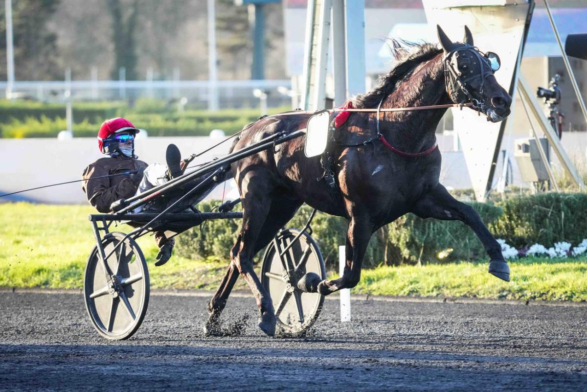 Pronostic gratuit du PRIX DE TONNAC-VILLENEUVE (PRIX JOURNAL WEEK-END ...