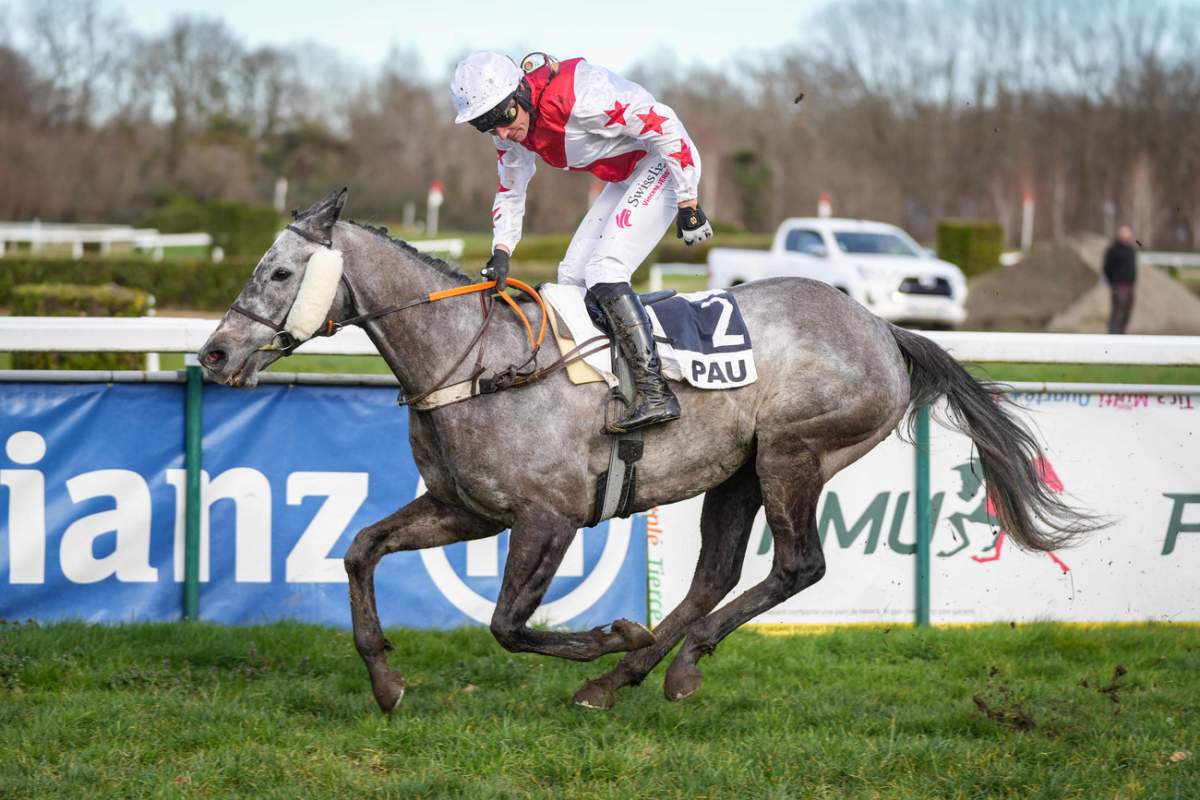 Résultat et rapports Quinté+ Pmu Prix Soal Racing (Prix Rene Cramail) à ...
