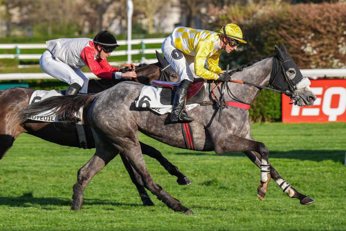 Arrivée PMU Prix de Dinard (Classe 1), samedi à Auteuil. MELISSE DU ...
