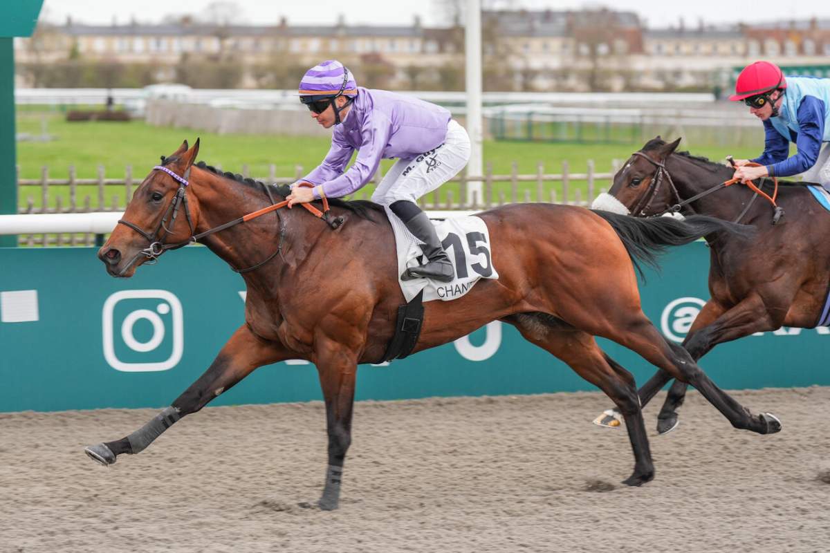Résultat et rapports Quinté+ Pmu Prix Des Quatre Glacieres à Chantilly ...