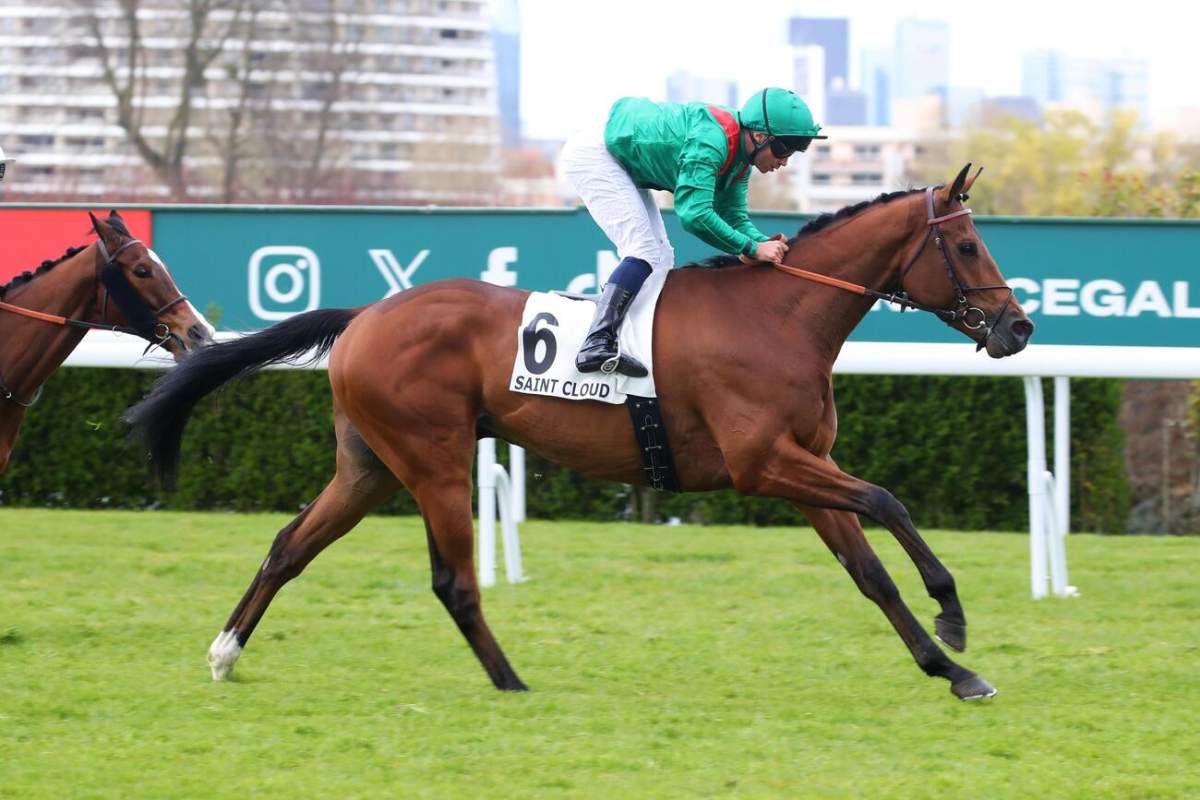 Arrivée PMU Prix Right Royal (Listed Race), dimanche 29 mars à Saint ...