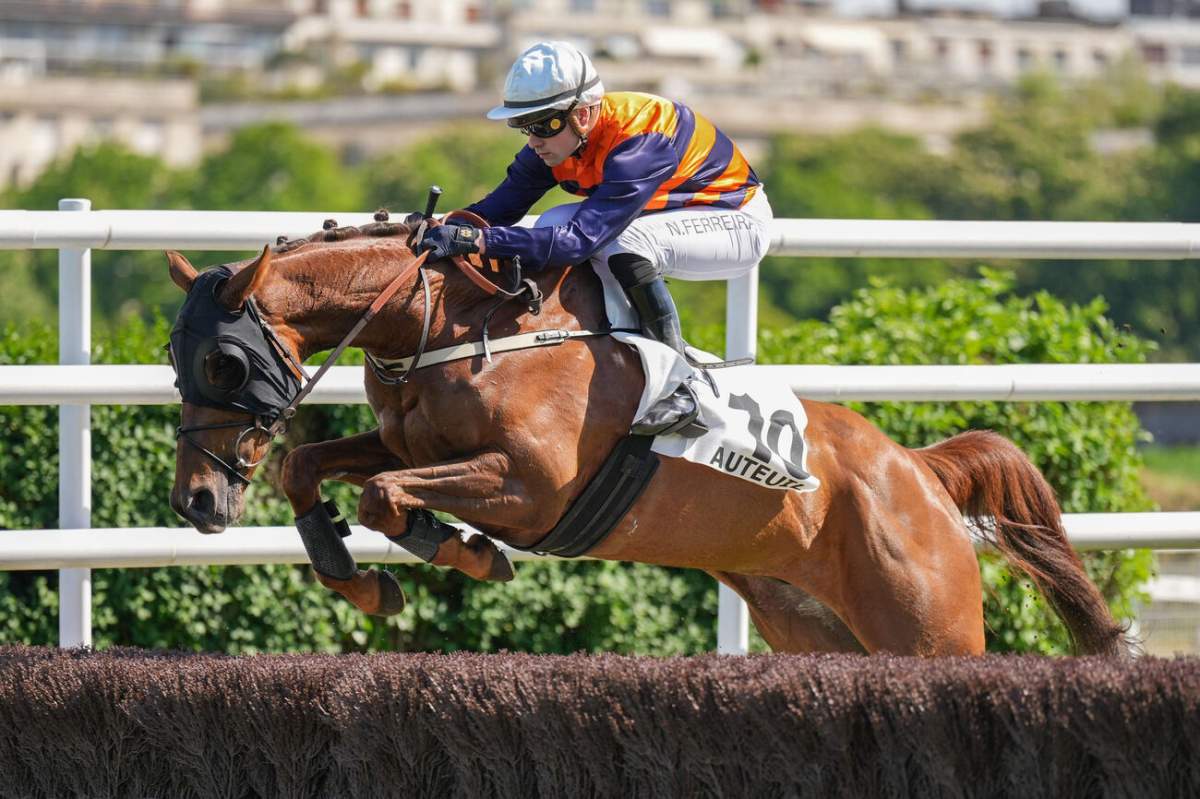 Arrivée PMU Prix Gérald de Rochefort (Listed Race), samedi 25 avril à ...