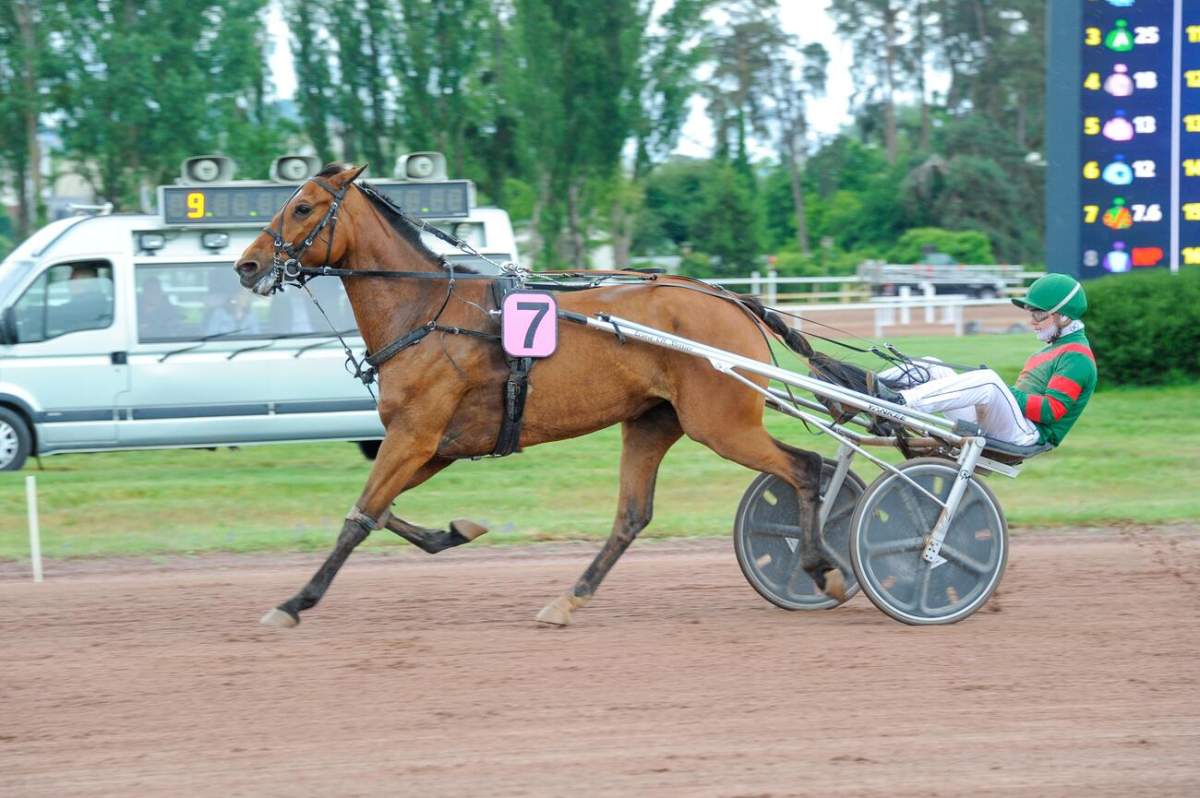 Pronostic gratuit du PRIX OUEST NETTOYAGE - 21 mai 2026 par Canalturf