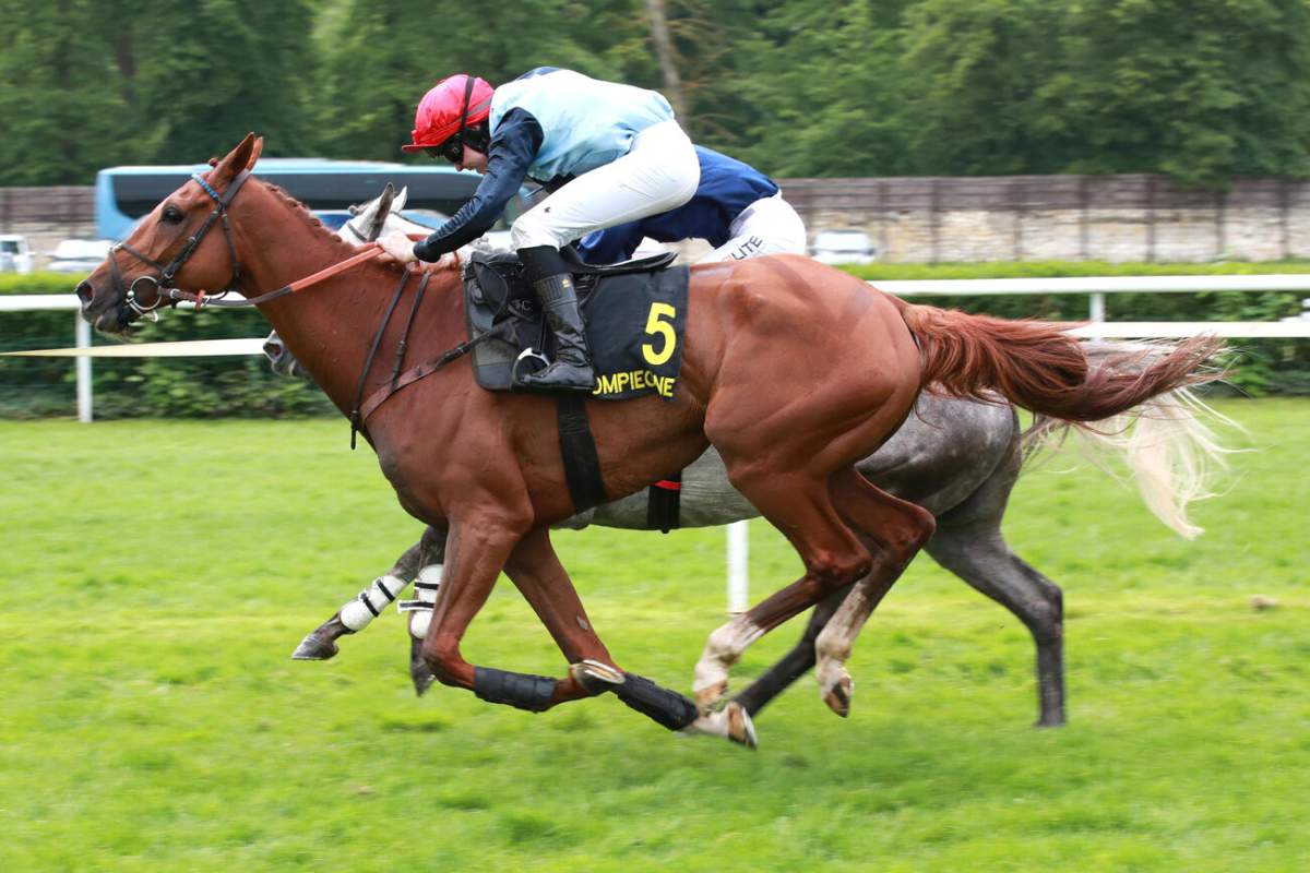 Arrivée du Prix Romati (Gr.III), lundi à Compiègne (R-2). JAGUAR DU ...