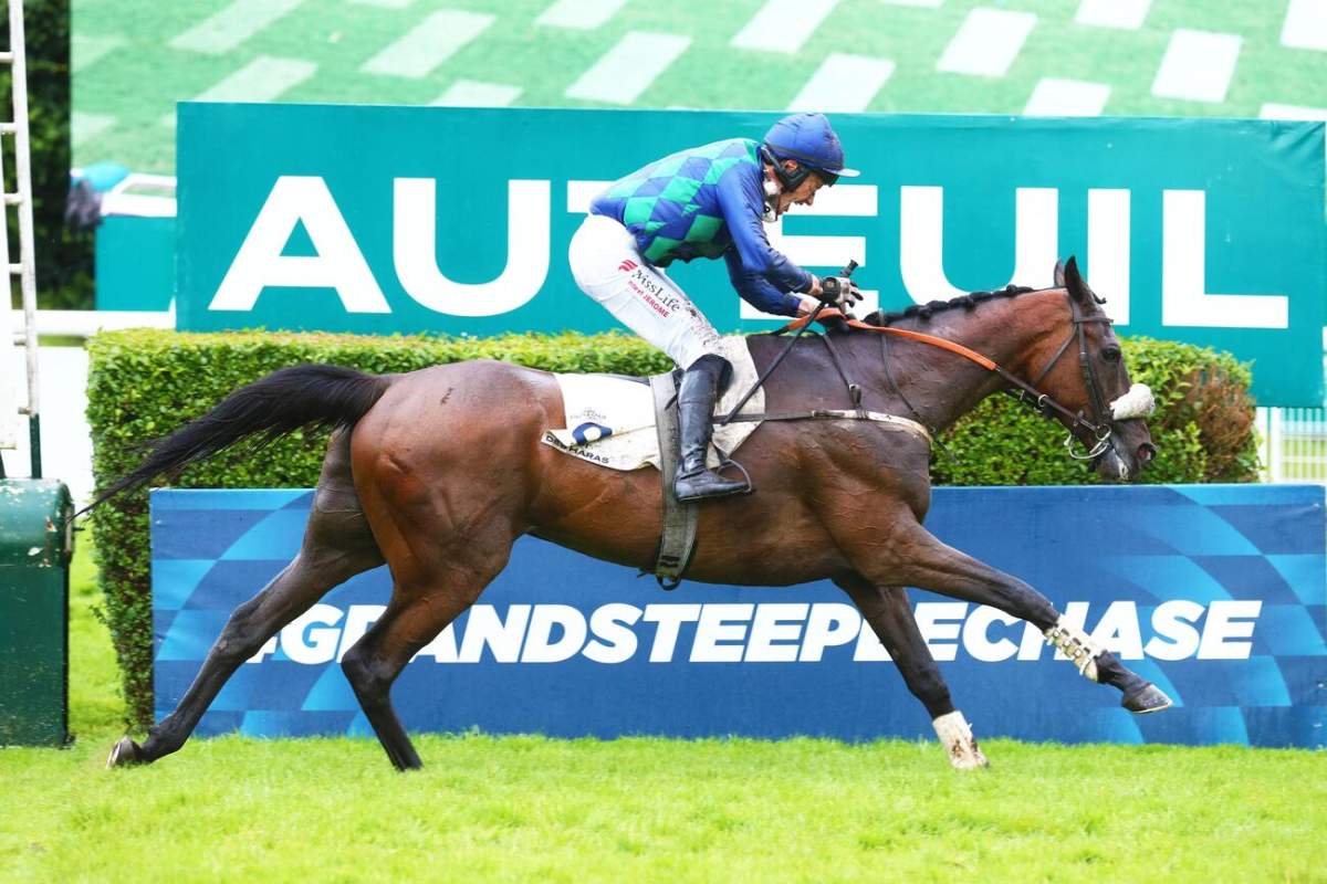 Résultat et rapports Quinté+ Pmu Le Défi des Haras - Grand Steeple ...