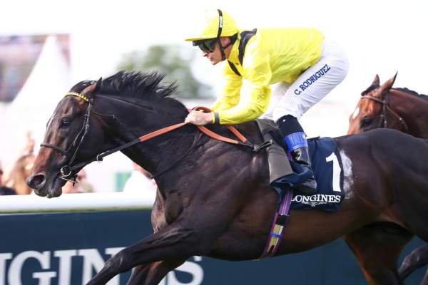 Arrivée PMU Prix Bertrand du Breuil Longines (Gr. III), dimanche14 juin ...
