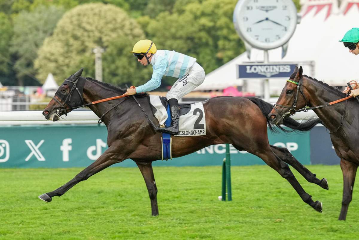 Résultat et rapports Quinté+ Pmu Prix Du Nabob à Longchamp le 18/06 ...