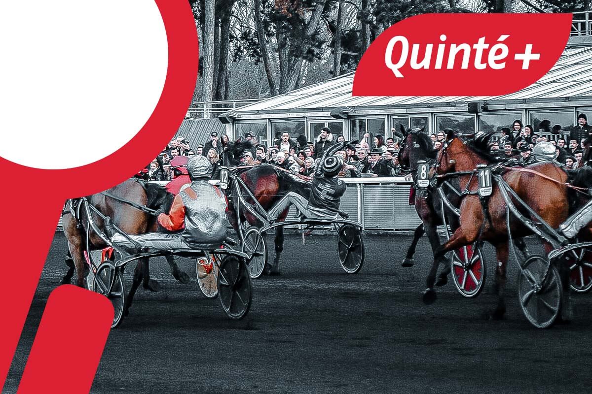 Résultat et rapports Quinté+ Pmu Prix D'Amerique - Amerique Races à ...